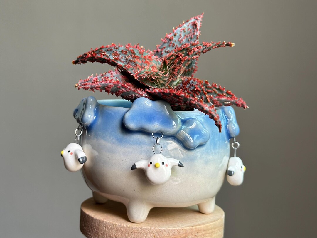 Bird Plant Pot/cute Bird Ceramic Plant Pot/bird Planter/handmade ...