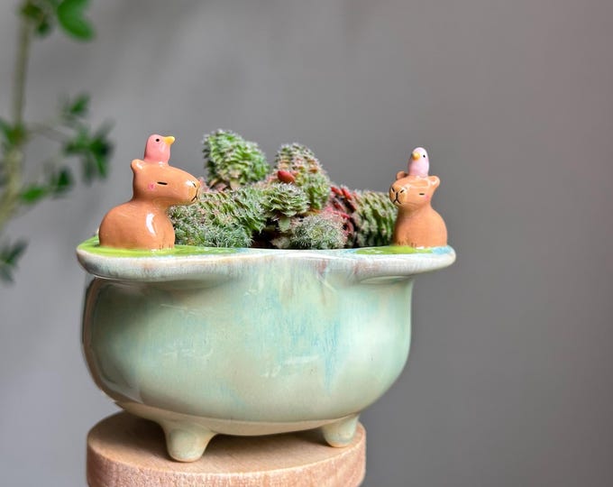 Ceramic Capybara Pot,whimsical Capybara Planter,capybara Succulent Pot ...