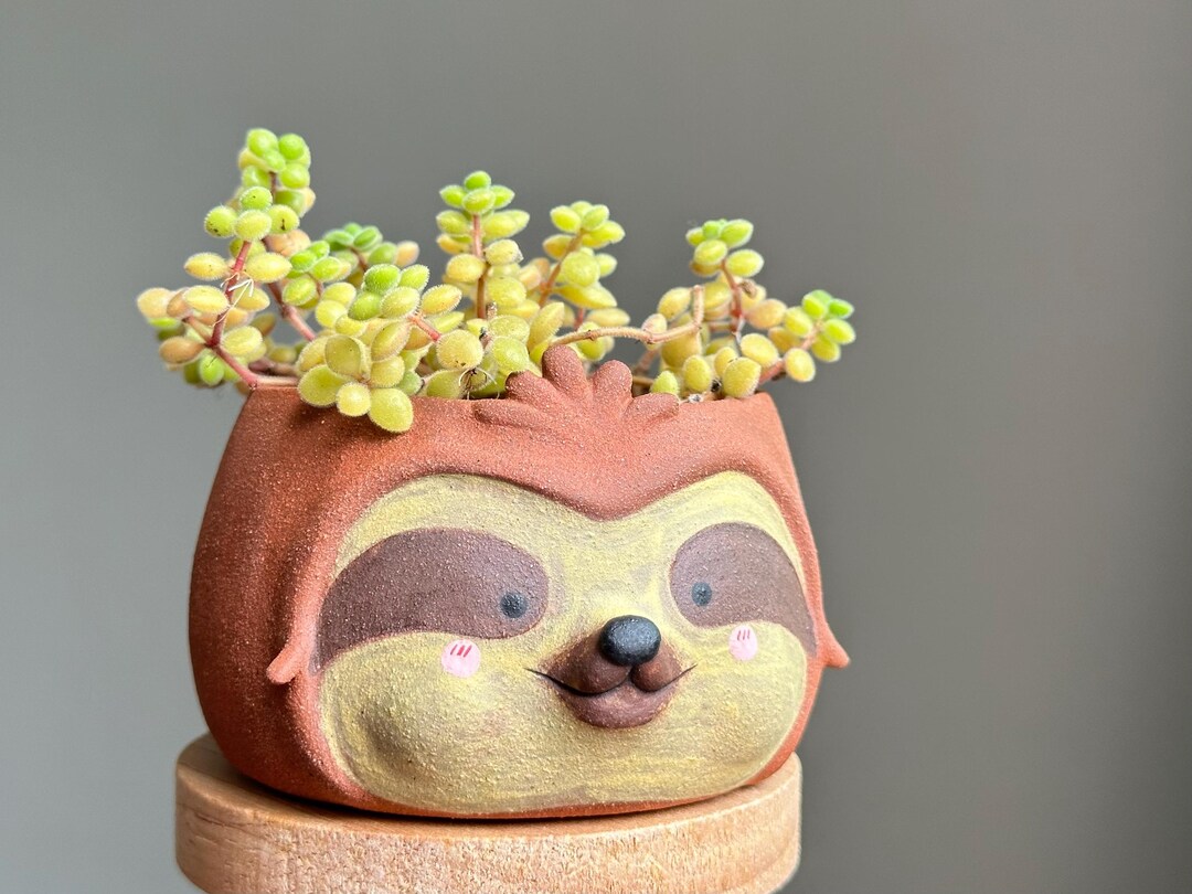 Handcrafted Ceramic Sloth-face Planter,handcrafted Animal Pot,handmade ...