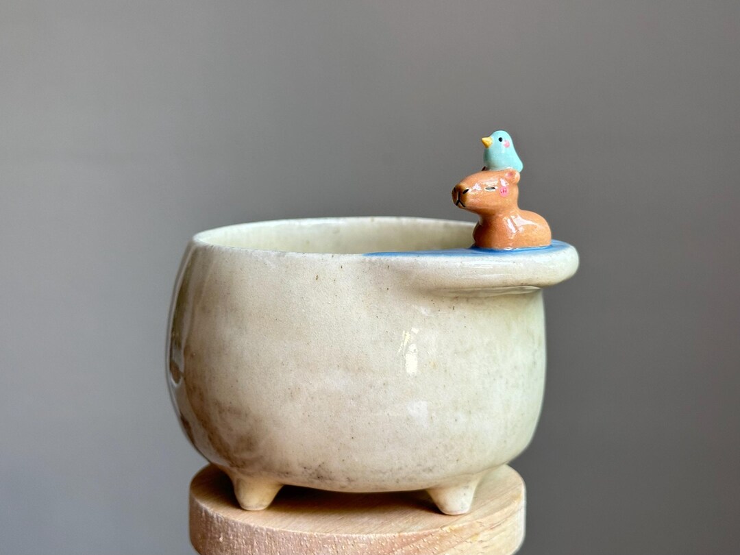 Handcrafted Capybara Plant Pot ,animal Planter,capybara Pottery Planter ...