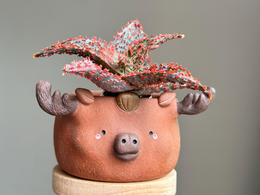 Handcrafted Ceramic Moose Face Planter,animal Plant Pot,ceramic Animal ...