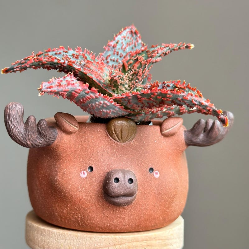 Ceramic Animal Planter - Etsy