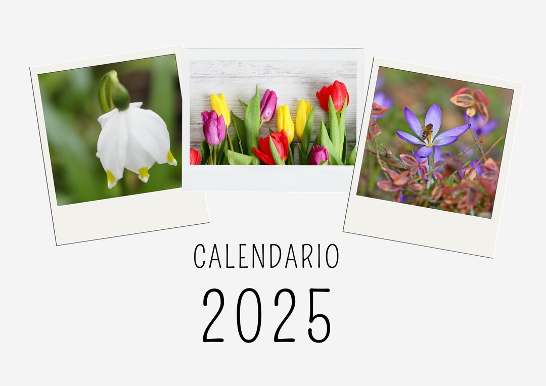 Calendario Mensual 2025 Con Notas, Formato Horizontal, Plantilla De ...