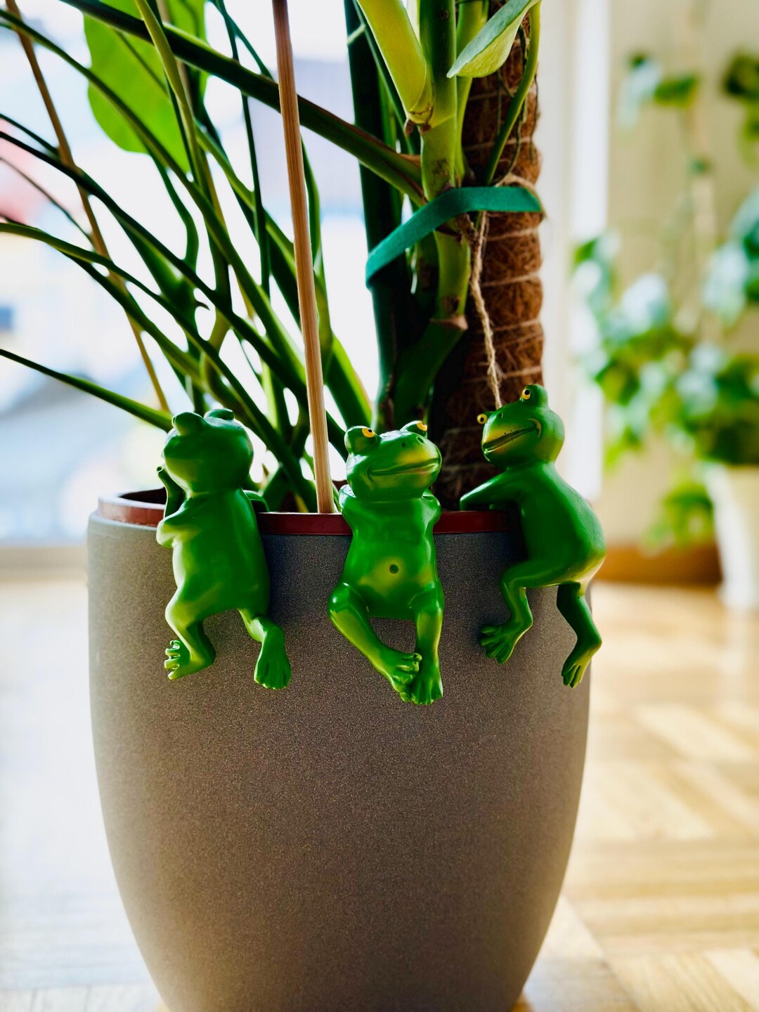 3-piece Set Cute Frog Figures – Hanging Climbing Frog Resin Sculptures ...