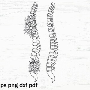 Floral Spine Anatomy SVG: Flower Bones Clip Art (digital Files) - Etsy