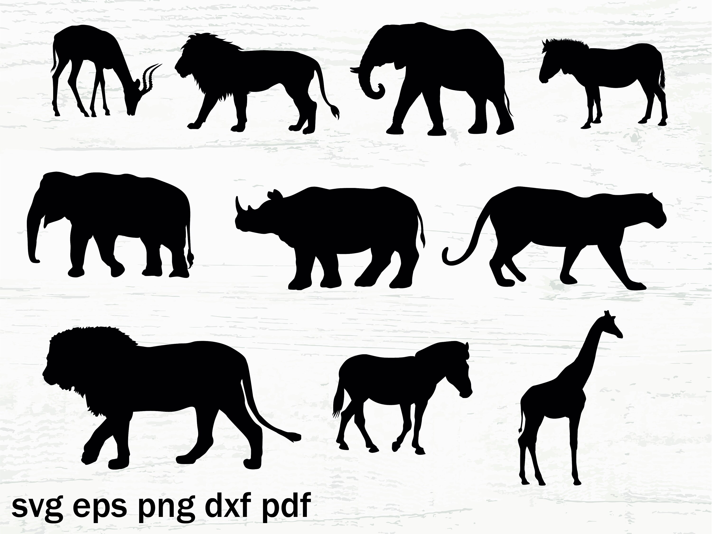 Safari Animal SVG Elephant Svg, Giraffe Svg Safari Clipart Birds Flying ...