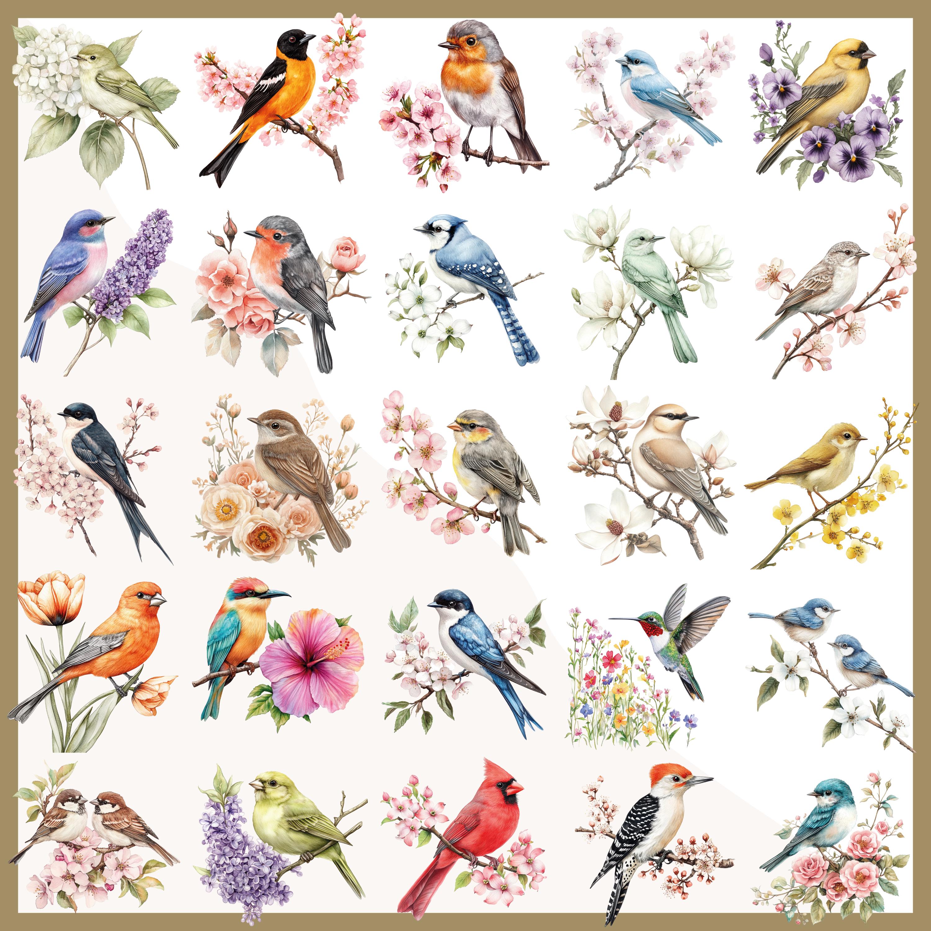 Watercolor Spring Birds Clipart, Floral PNG Set (83 Files) - Etsy