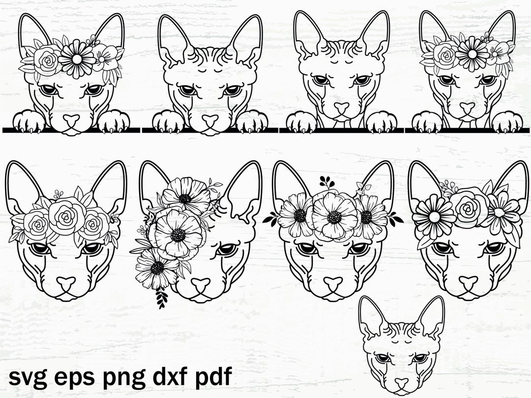 Sphynx Cat SVG Bundle | Floral Sphynx Cat Line Art Faces | Svg Png Eps ...