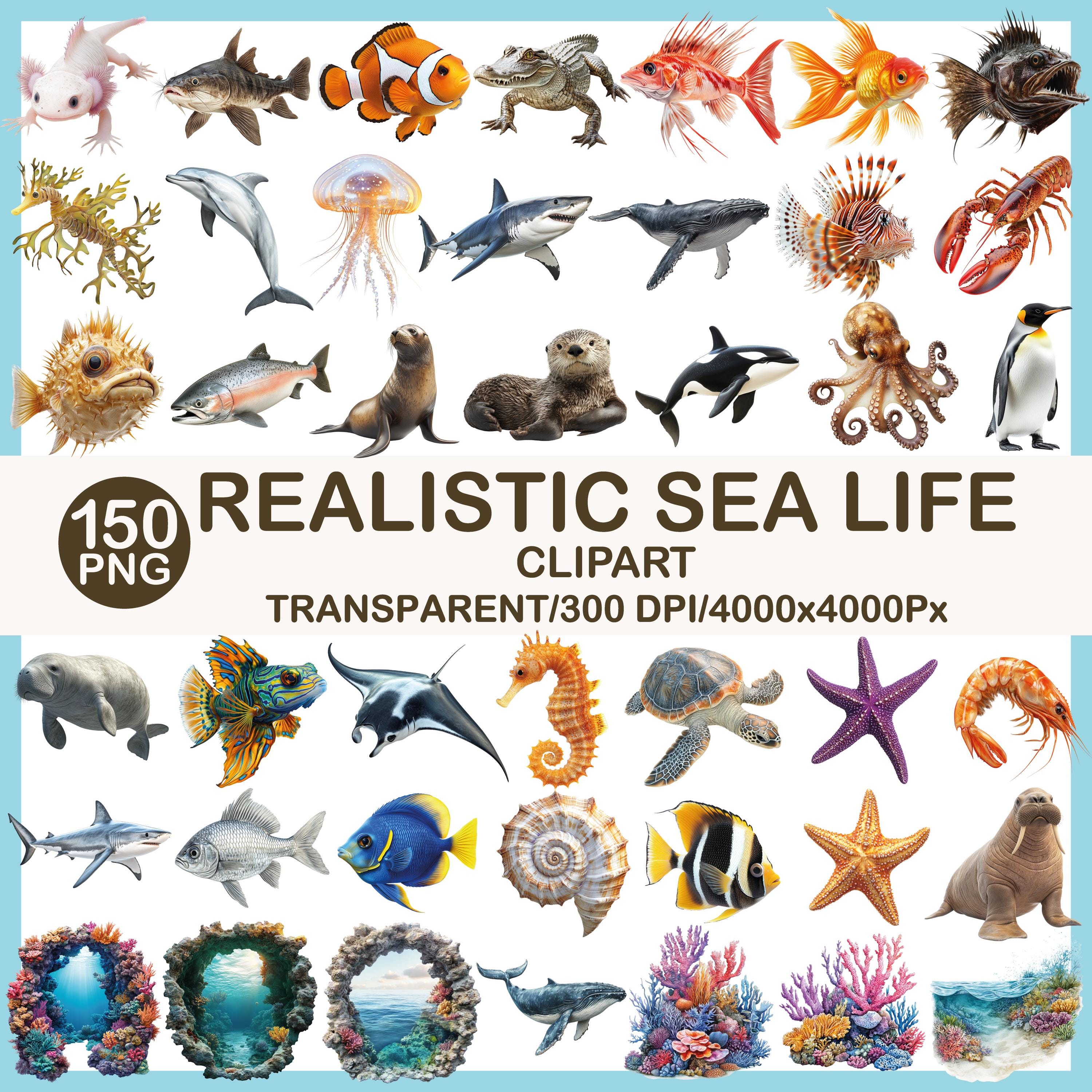 Realistic Sea Life Clipart Bundle, Ocean Animals PNG (150 Files) - Etsy
