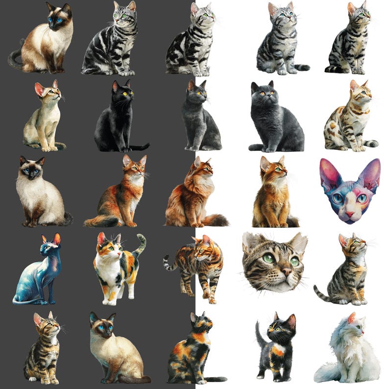 Realistic Cat Clipart Bundle: 134 PNG Images (digital Download 300 DPI ...