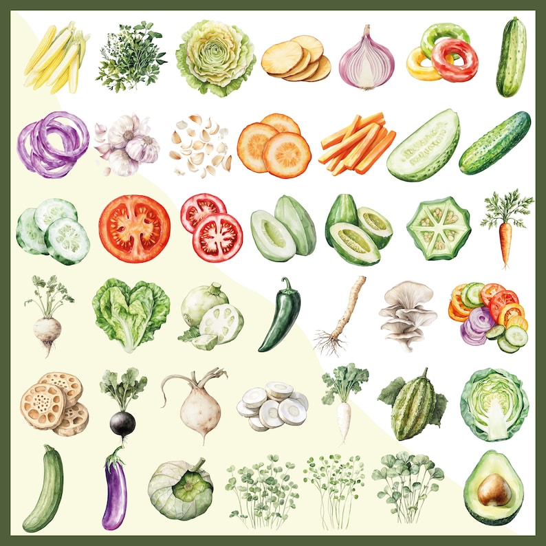 Vegetables Watercolor Clipart Bundle | 188 PNG Illustrations (digital ...