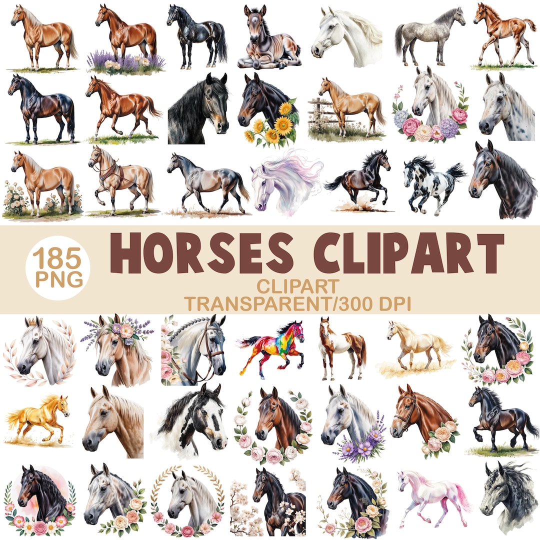 Watercolor Horse Clipart Bundle: 185 PNG Equestrian Illustrations ...