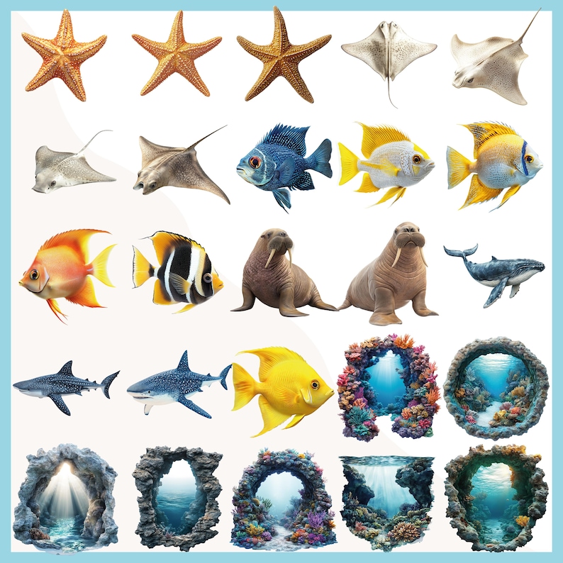 Realistic Sea Life Clipart Bundle, Ocean Animals PNG (150 Files) - Etsy