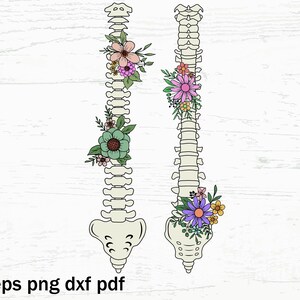 Floral Spine Anatomy SVG: Flower Bones Clip Art (digital Files) - Etsy