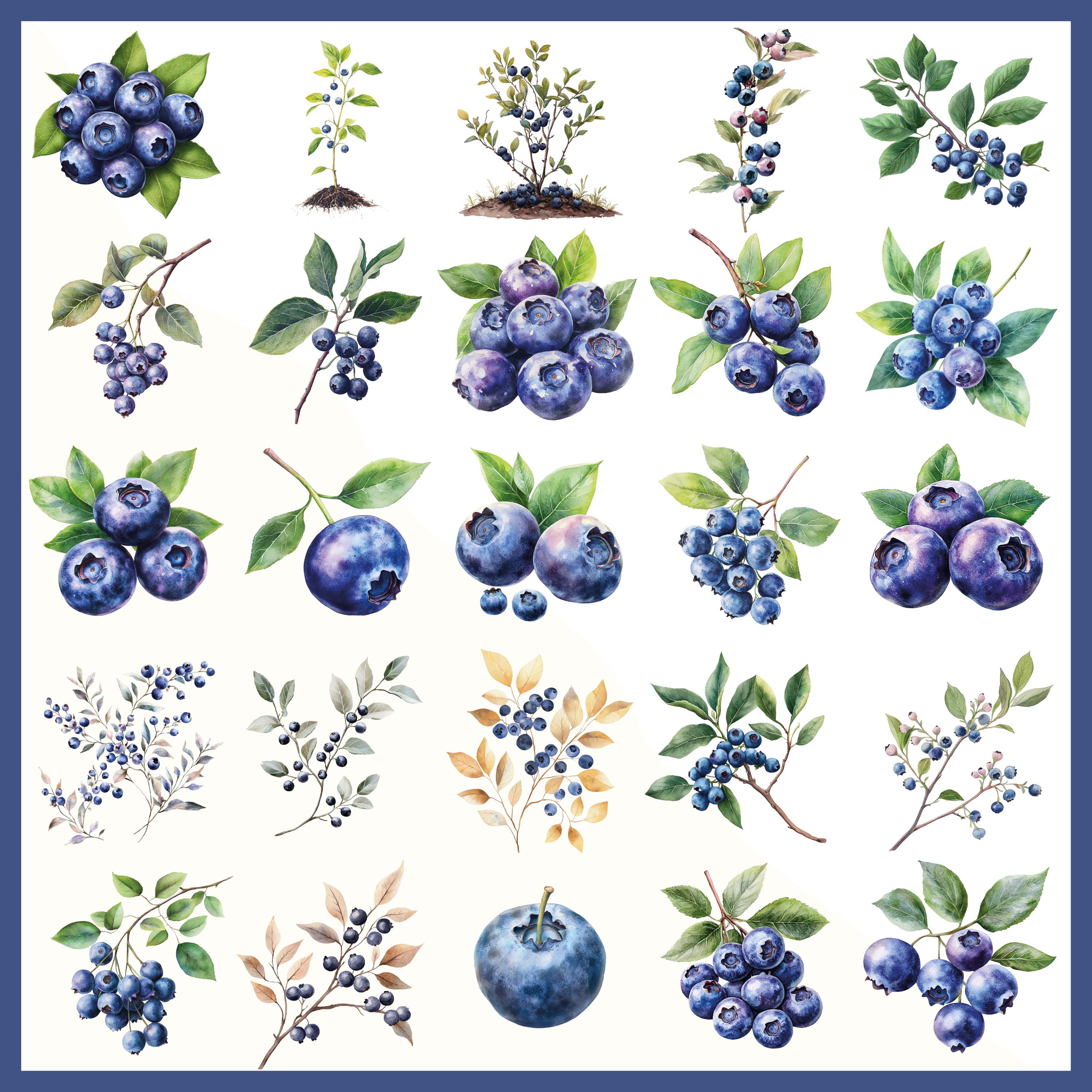 Blueberry Clipart Bundle, Cottagecore Watercolor PNG (digital Download ...