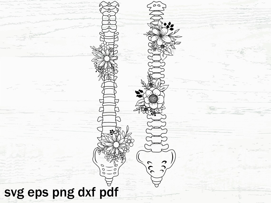 Floral Spine Anatomy SVG, Human Spine Svg, Spinal Cord Svg, Flower ...