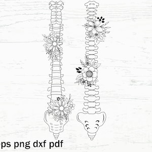 Floral Spine Anatomy SVG: Flower Bones Clip Art (digital Files) - Etsy
