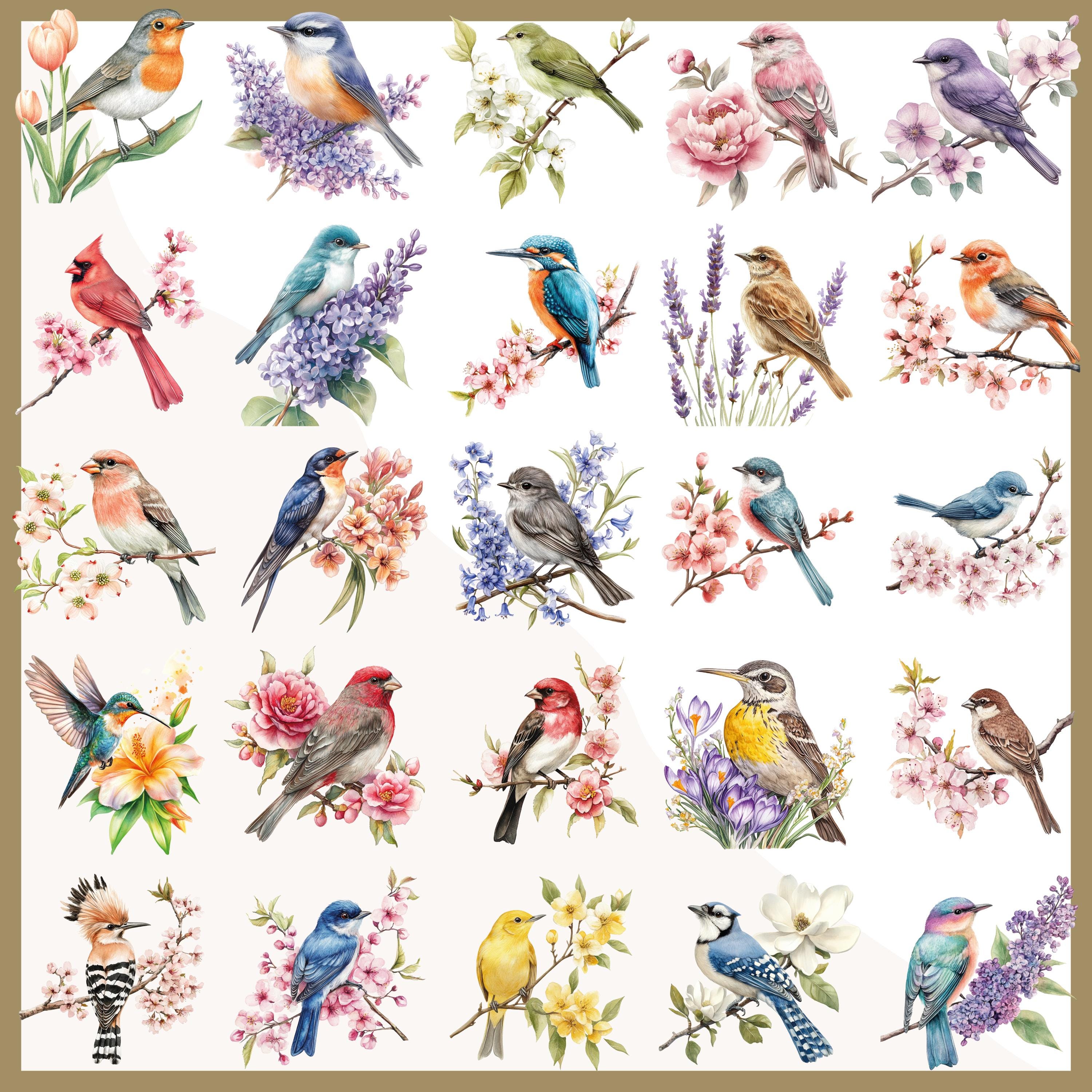 Watercolor Spring Birds Clipart, Floral PNG Set (83 Files) - Etsy
