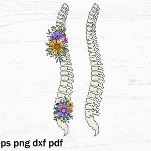 Floral Spine Anatomy SVG: Flower Bones Clip Art (digital Files) - Etsy