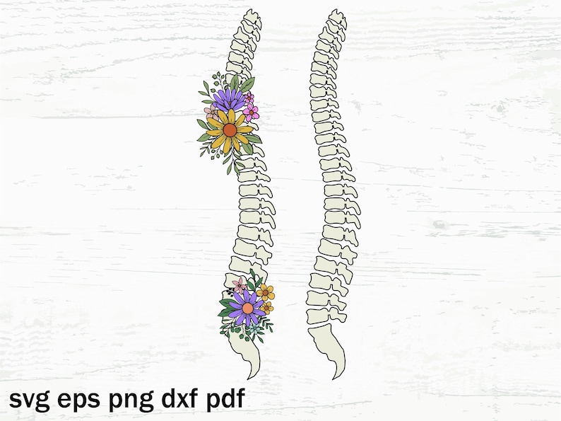 Floral Spine Anatomy SVG, Human Spine Svg, Spinal Cord Svg, Flower ...
