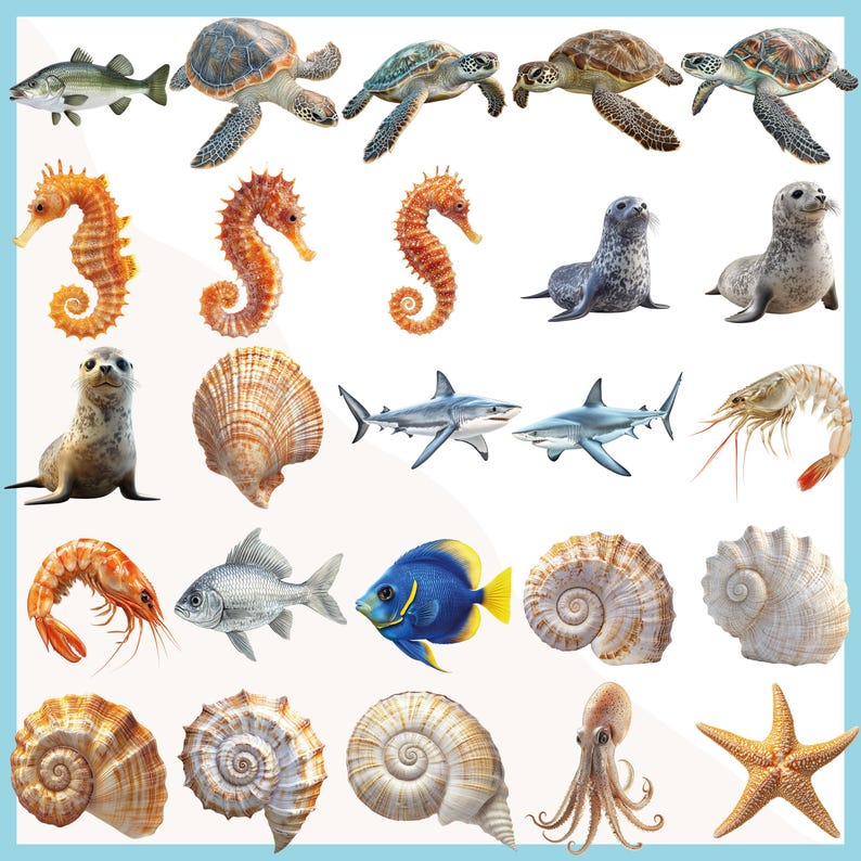 Realistic Sea Life Clipart Bundle, Ocean Animals PNG (150 Files) - Etsy