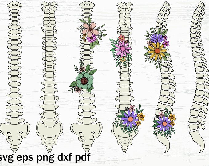Spine Svg, Floral Spine Svg, Human Spine Svg, Spinal Cord Svg, Flower ...