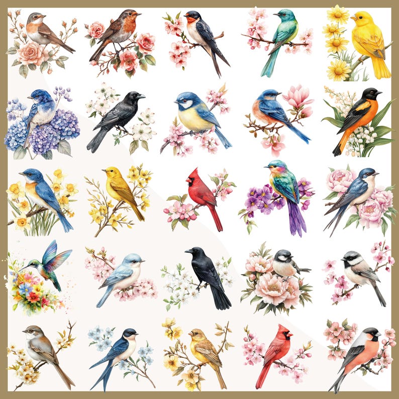 Watercolor Spring Birds Clipart, Floral PNG Set (83 Files) - Etsy