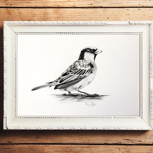 Sparrow Graphite Pencil Drawing - Realistic Bird Drawing - Gift for ...