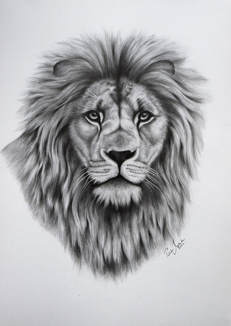 Original Lion Art Realistic Lion Portrait Drawing Lion King - Etsy