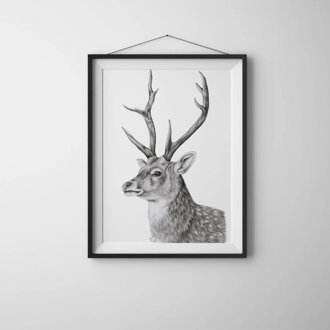 Deer Graphite Pencil Drawing - Sika Deer Portrait Realistic Art - Fine ...