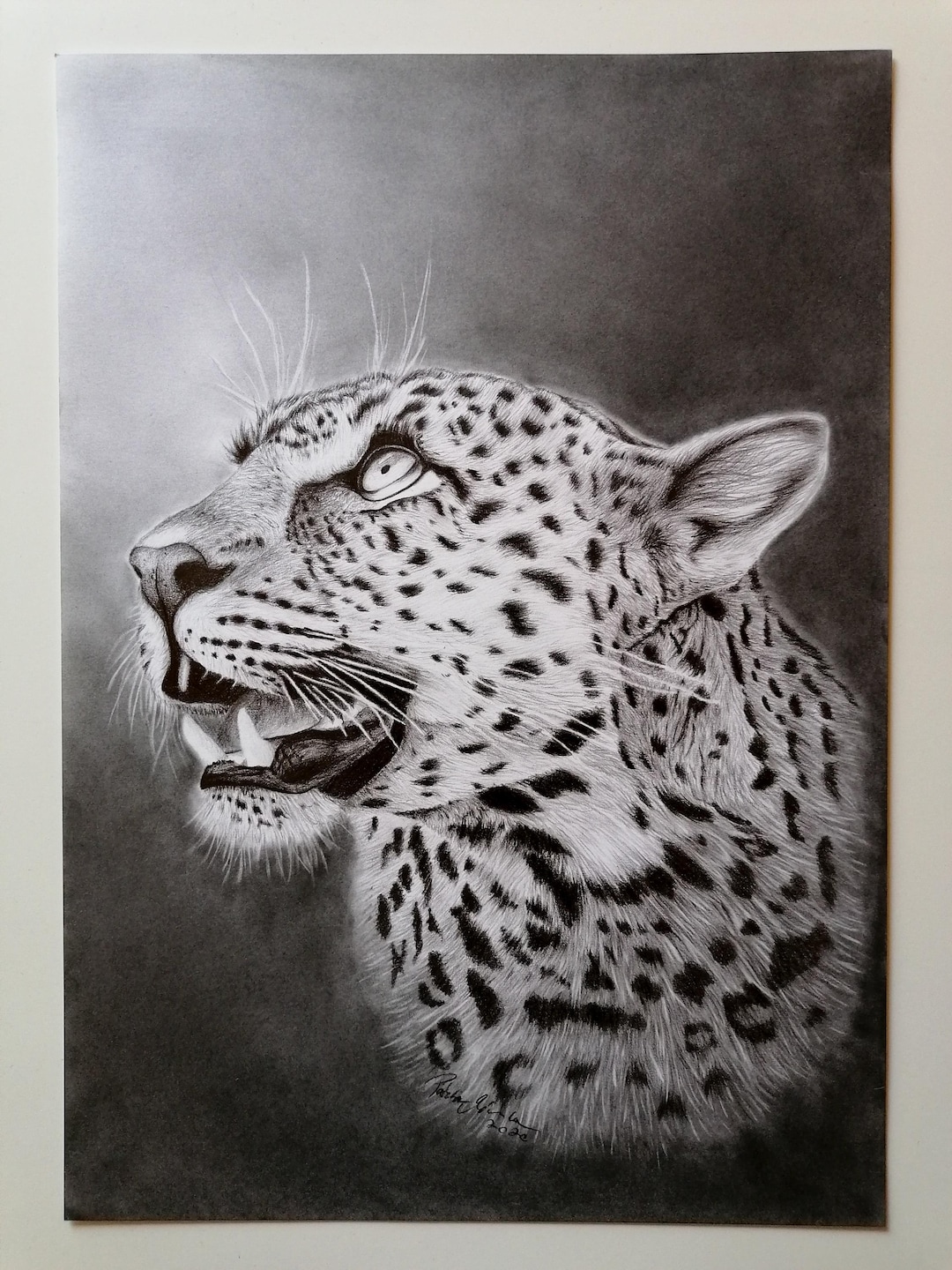 Custom Wildlife Portrait, Hand-drawn Graphite Animal Drawing ...