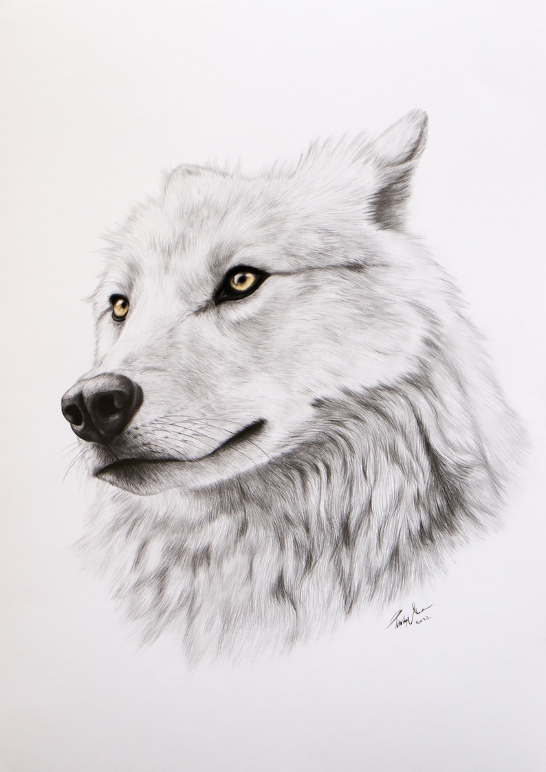 Custom Graphite Pencil Animal Portrait: Detailed Wildlife Art - Etsy