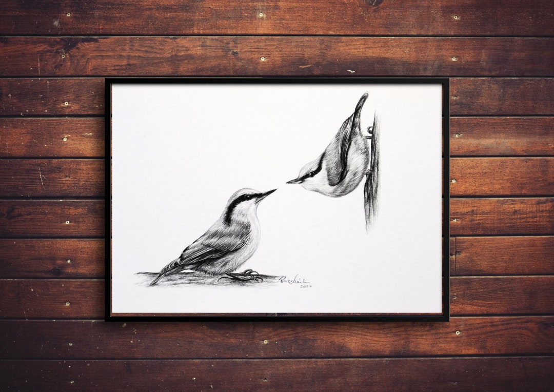 Original Bird Art Drawing, Fine Art Graphite Nuthatches Drawing ...