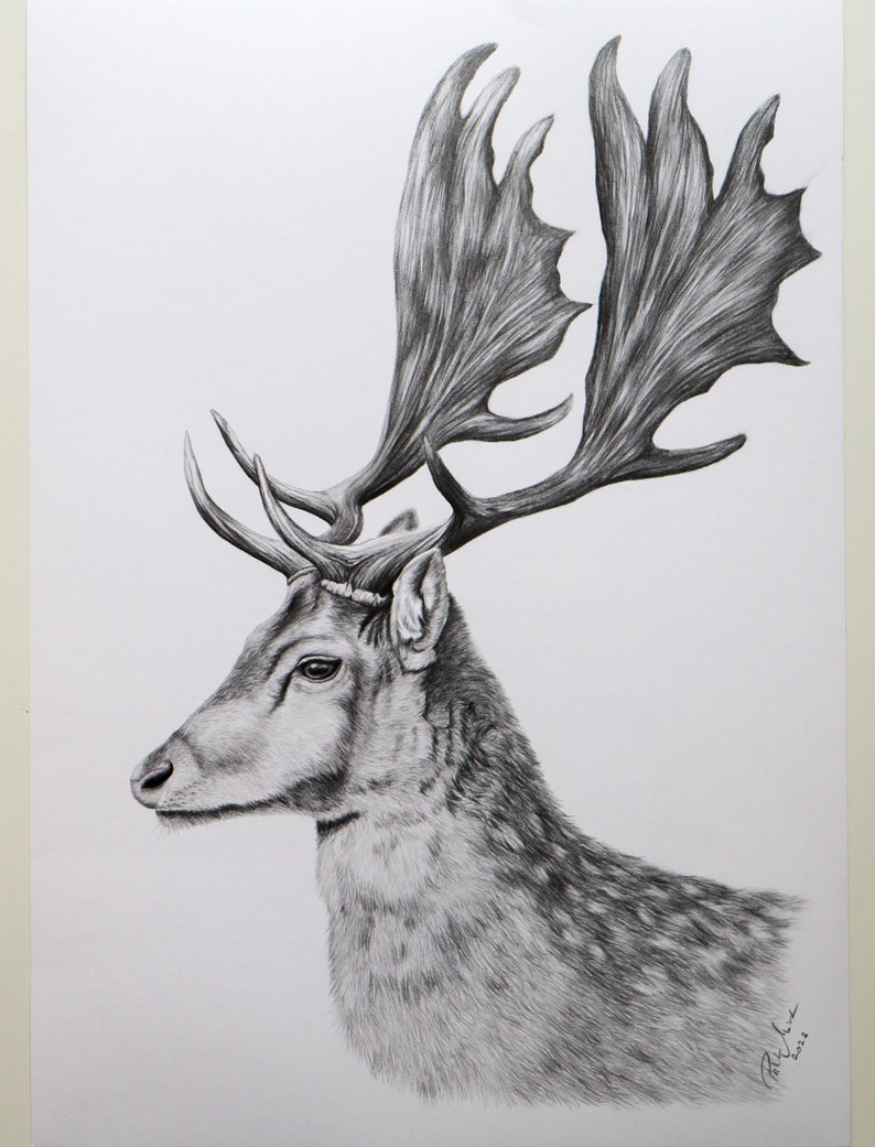 Custom Graphite Pencil Animal Portrait: Detailed Wildlife Art - Etsy
