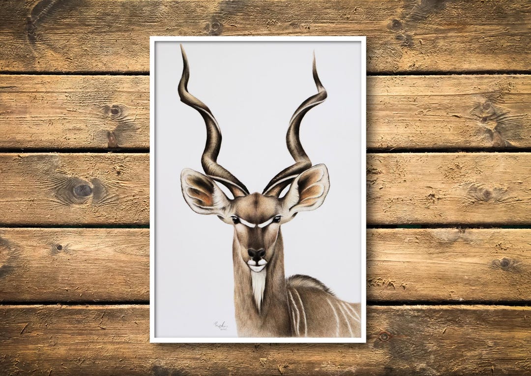The Greater Kudu Portrait Drawing, Realistic Colored Pencil Animal Art ...