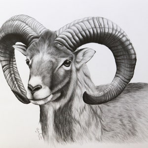 Custom Graphite Pencil Animal Portrait: Detailed Wildlife Art - Etsy