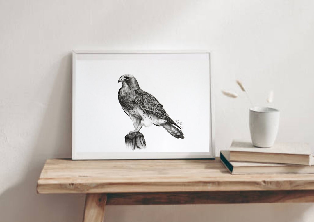 Handmade Falcon Drawing Graphite Pencil Drawing Realistic Bird Art Wall ...