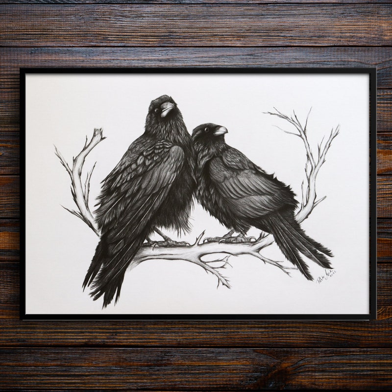 Bird Pencil Drawing - Etsy