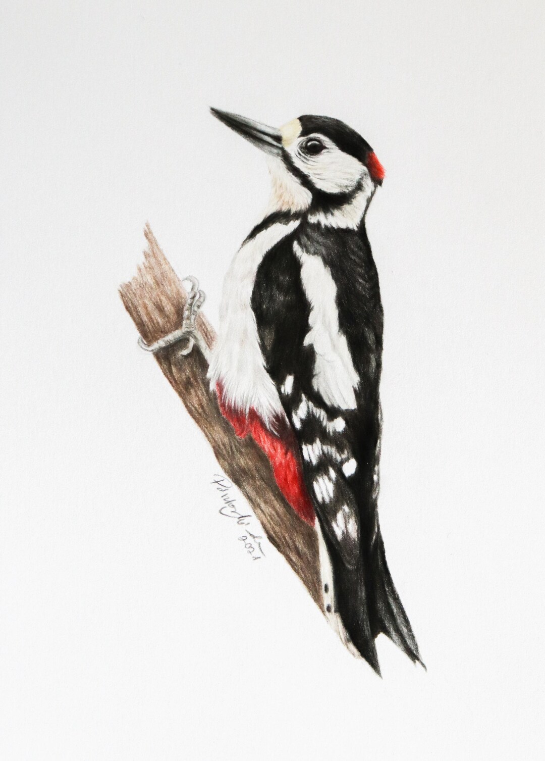 Custom Bird Portrait – Handmade Colored Pencil Drawing, Personalized ...
