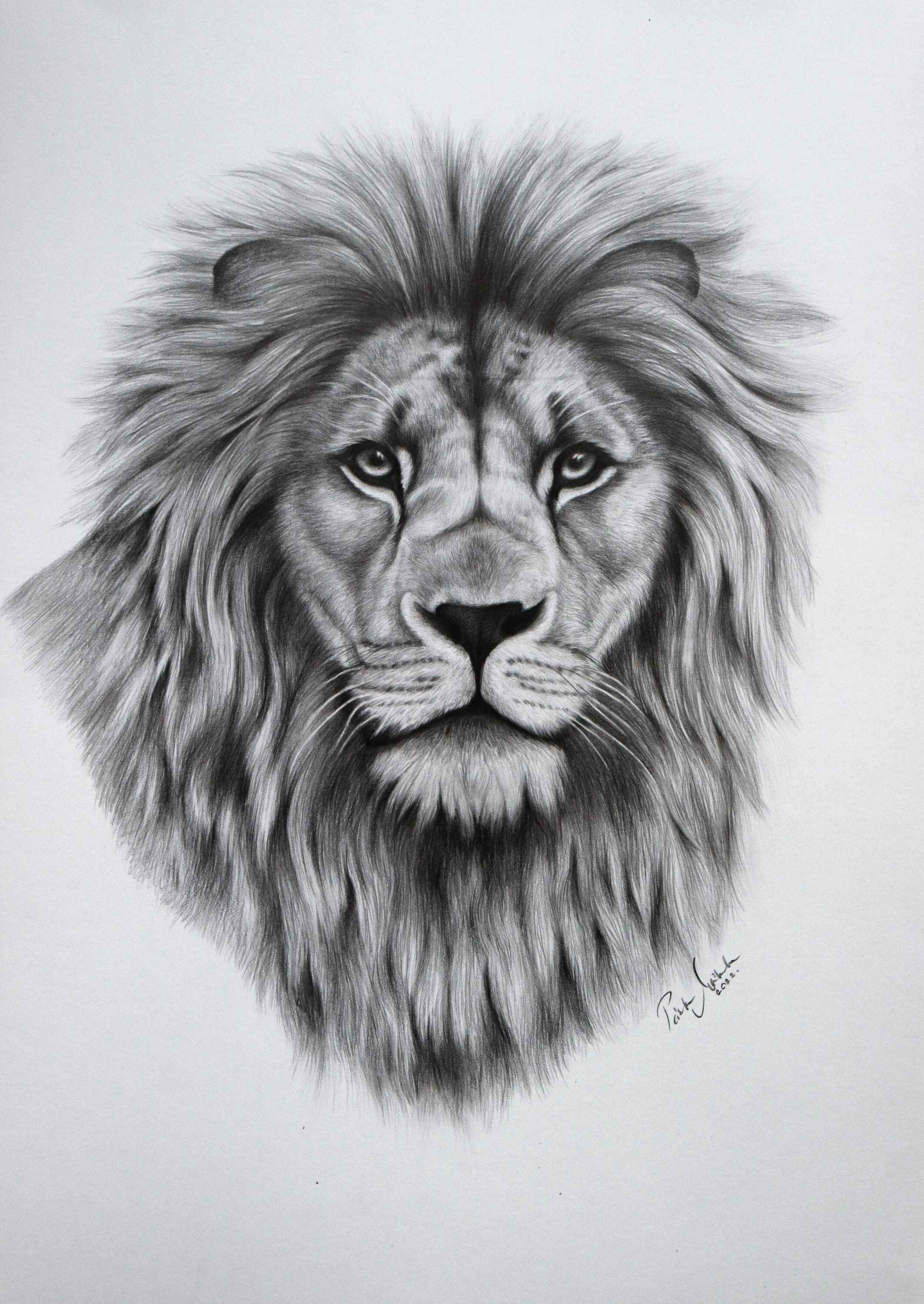 Custom Graphite Pencil Animal Portrait: Detailed Wildlife Art - Etsy