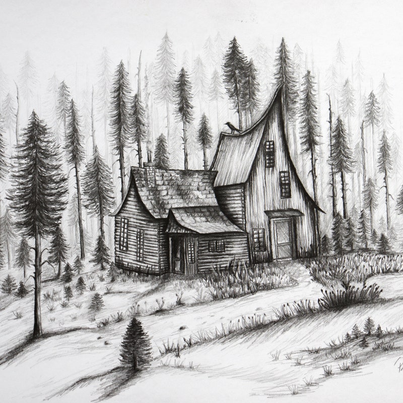 Nature Drawings - Etsy