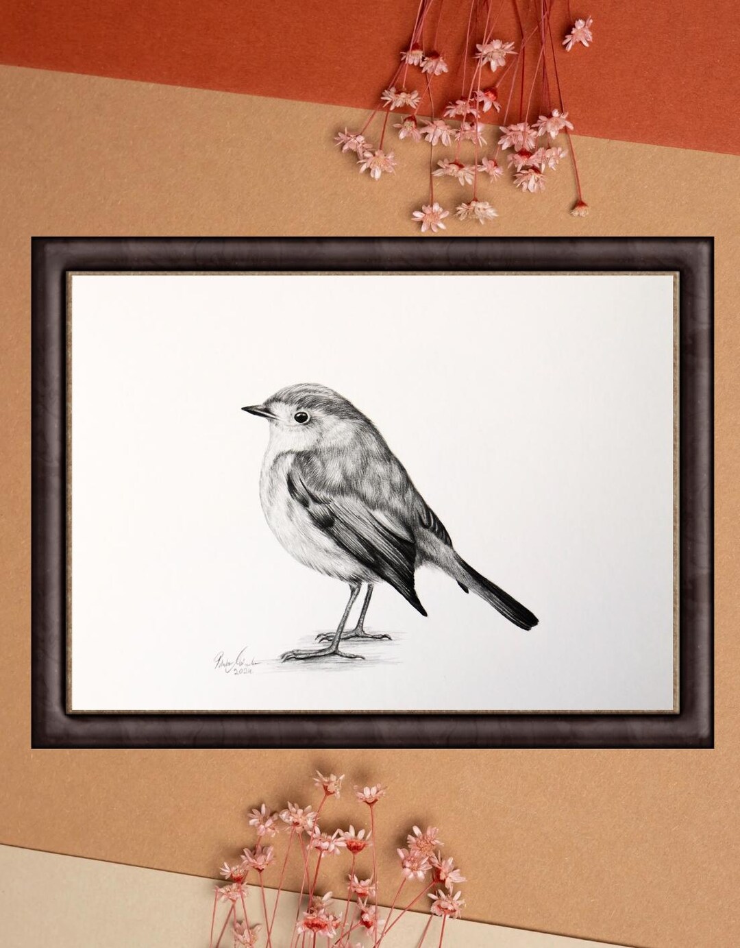 Bird Study Art, Robin Drawing, Graphite Pencil Bird Drawing, Realistic ...