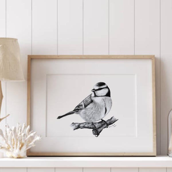 Graphite Bird Drawings - Etsy UK