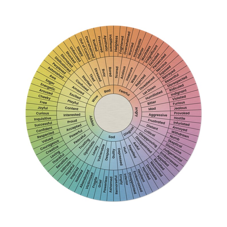 Feelings Wheel of Emotions Rug for Therapist Mental Health Counselor ...