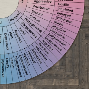 Feelings Wheel of Emotions Rug for Therapist Mental Health Counselor ...