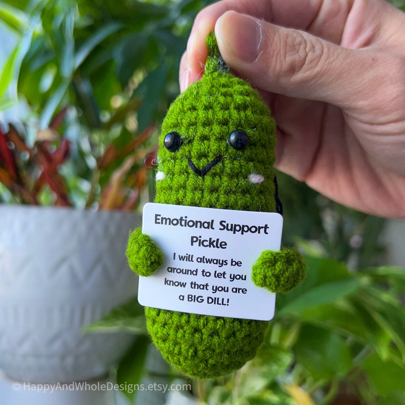 Positive Pickle, Thinking of You Funny Gift for Best Friend, Self Care ...