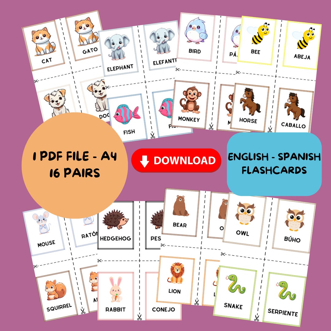 Preschool Flashcards Memory Cards for Kids Homeschooling Learning Toys ...