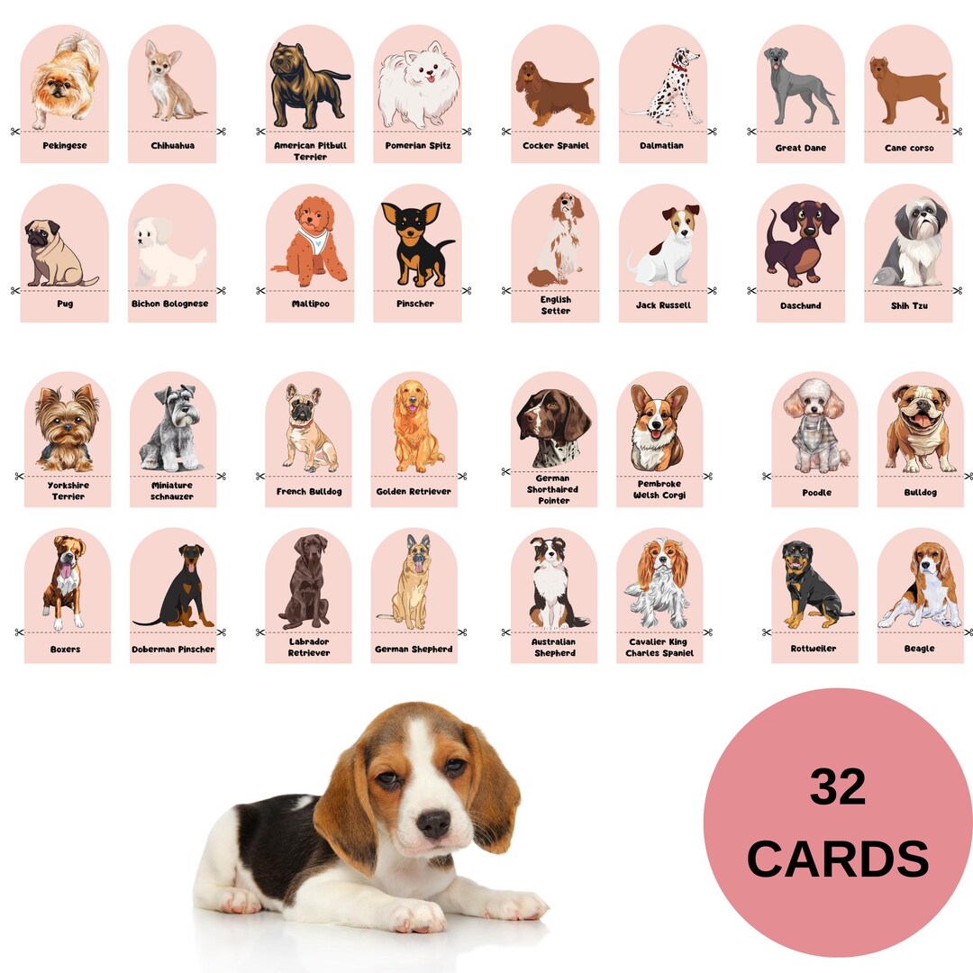 Dog Breeds Matching Game: Family Fun, Classroom Activity (digital ...