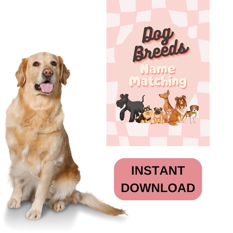 Dog Breeds Matching Game: Family Fun, Classroom Activity (digital ...