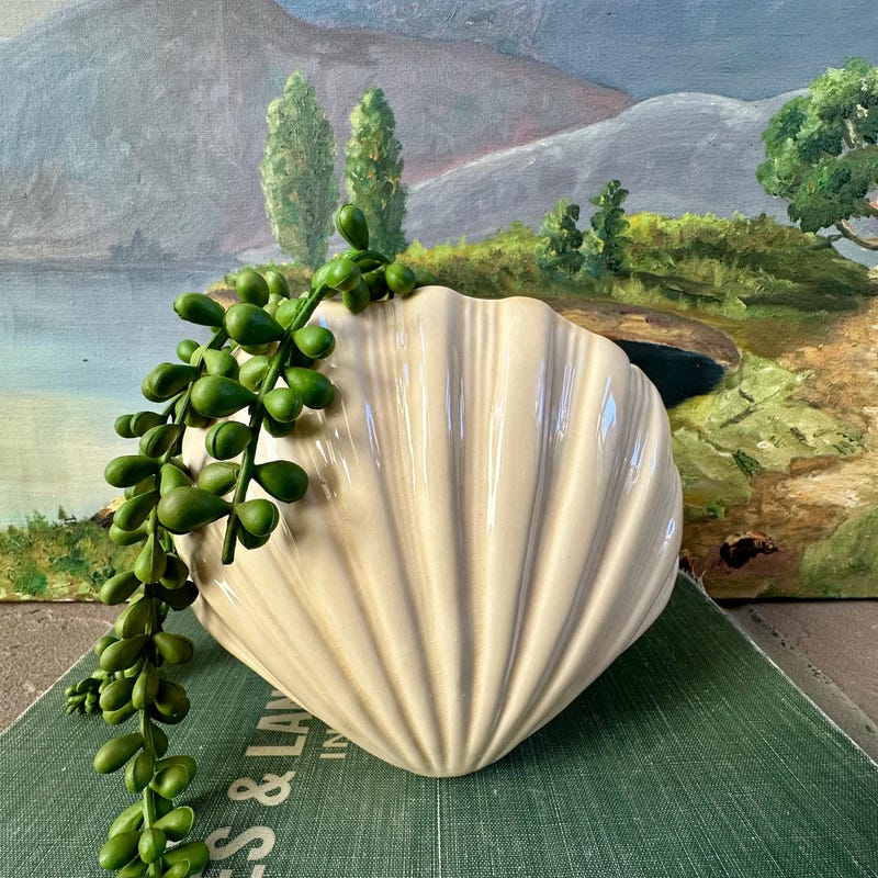 Shell Vase - Etsy